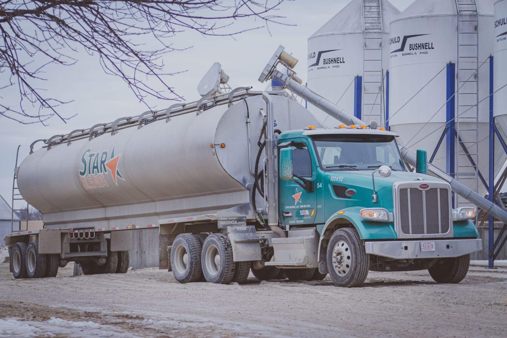 Dairy Cow Feed - Custom Feed Blends & Products | Star Blend